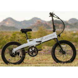 Elecruiser Folding Electric Bikes, portable e-Bikes store, Boca Raton ...